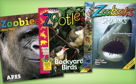 $22 for a 1-Year Subscription to Kids' Wildlife Magazines from Zoobooks ...
