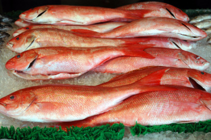 $45 for 6 lbs of Whole Red Snapper (a $65 Value)| WagJag