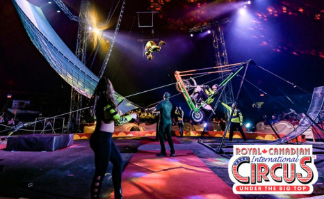 Up to 44% off General Admission Tickets to the Royal Canadian Family ...
