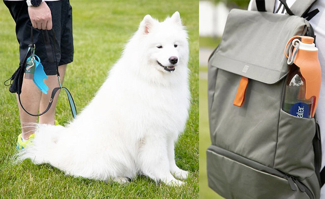 $10.95 for a HydroSMART-Flex Versatile Pet Hydration/Water Bowl (an $18 ...