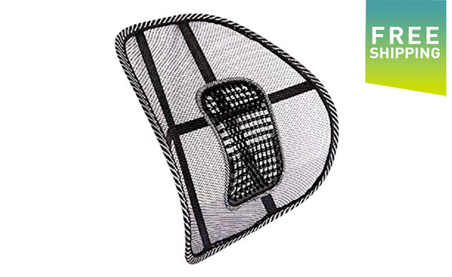 $19 for a Car Chair Back Support (a $39 Value) | WagJag