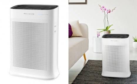 $139 for a Rowenta Pure Air Purifier (a $359.99 Value) | WagJag