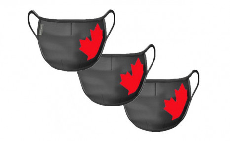$29.99 for 3-Pack of Reusable Canada Face Masks | WagJag