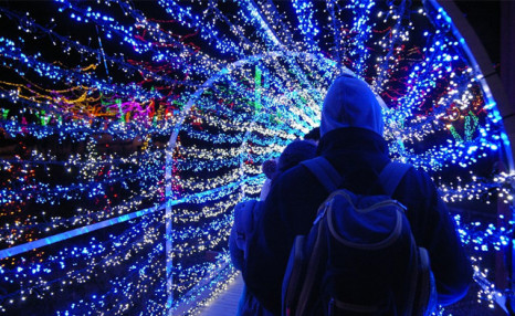 30% Off Admission to Winter GLOW Ice, Snow & Light Show | WagJag