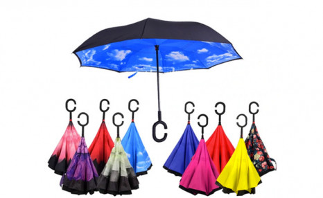 $28.95 for a Reversible Umbrella (a $55 Value) | WagJag