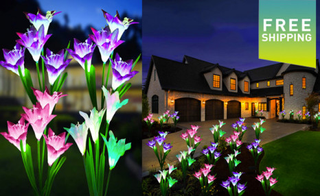 $35.95 for a 4-Pack of Solar Lily Garden Lights | WagJag
