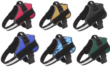 $19.95 for a Bolux Dog Harness (a $59 Value) | WagJag