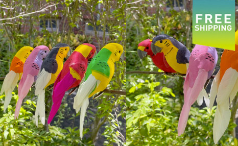 $22.95 for a 6-Piece Set of Clip-On Bird Ornaments | WagJag