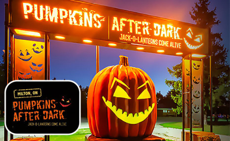 20% Off Admission to Pumpkins After Dark | WagJag