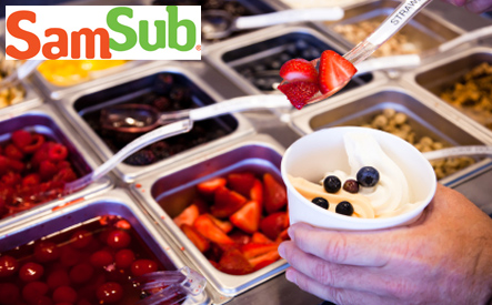 $4 For $8 Worth of Frozen Yogurt at Sam Sub| WagJag