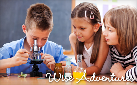 $25 for 5 One-Hour Kids Activity Sessions at Wise Adventures (a $50 ...