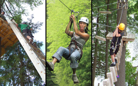 $42 for a 3-Hour Aerial Climb and Zipline Tour at Eaglecrest Aerial ...