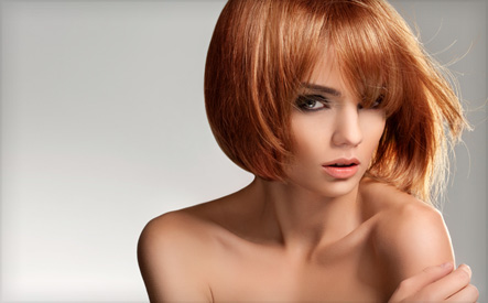 $29 for a Haircut, Style and Foil Highlights from Asta Hairstyling ...