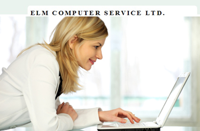 $60 for a Supreme Computer Service from Elm Computers ($140 value)| WagJag