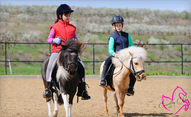 $99 for a Pony Party at Country Chic Pony Parties (a $300 Value ...