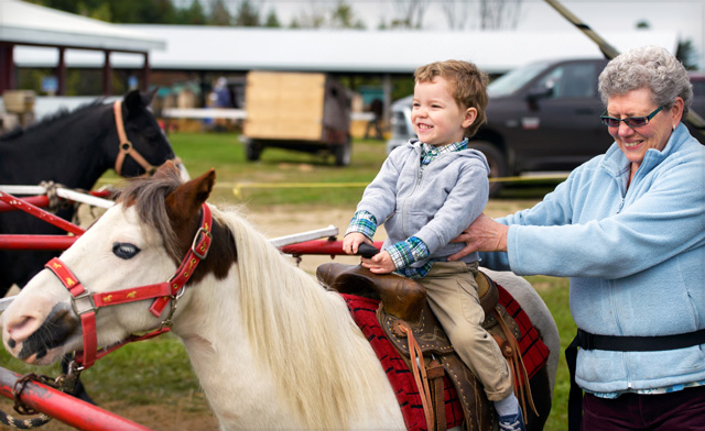 $99 for a Pony Party at Country Chic Pony Parties (a $300 Value ...