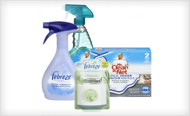 $7 for a Spring Cleaning Kit (a $20 Value) - Pick-Up Only - WagJag.com