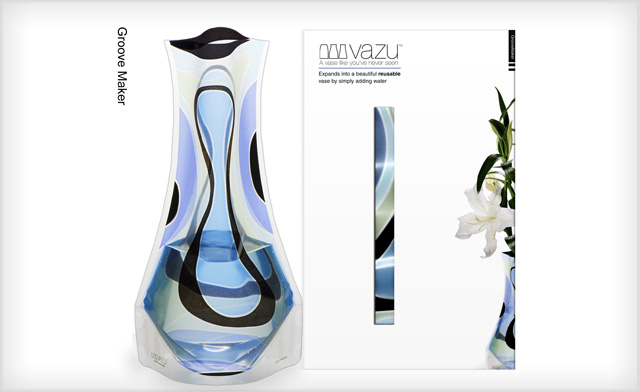 $15 for a Pair of Designer Vases from Vazu (a $30 Value) - WagJag.com