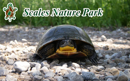 50% off Admission to Scales Nature Park - WagJag.com