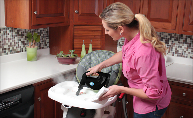 $39 for the H2O Steam FX Handheld Steamer from Thane Direct (an $80 ...