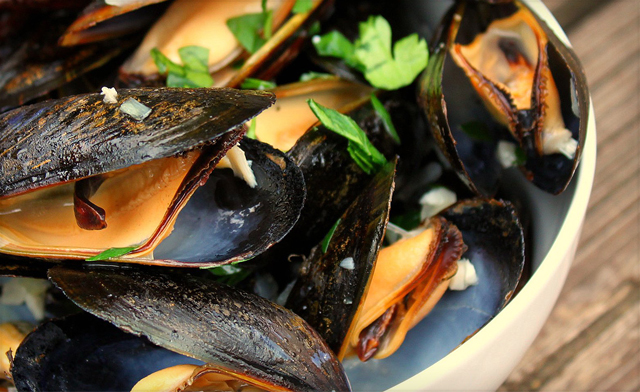 Half off Upscale Lunch and Dinner at Urban Dish Grill & Wine Bar in ...